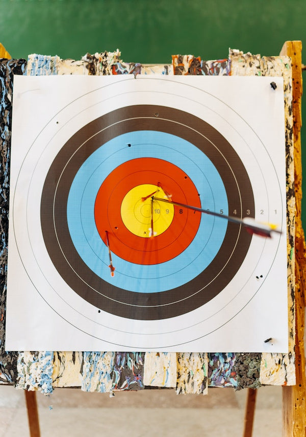 "Bull's-eye Achieved: Hitting the Target with Unerring Precision ...